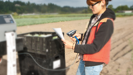 Snímač čárových kódů Intermec SR61 | Datascan